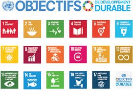 Sustainable Development Goals (SDGs) — English